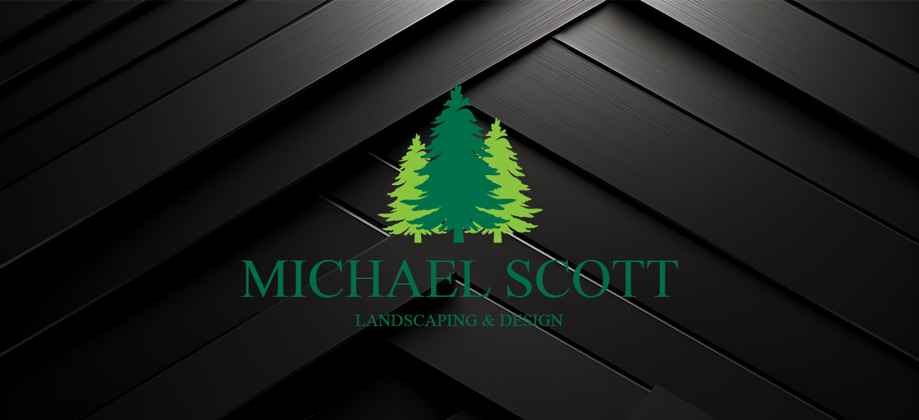 Michael Scott Landscaping - Calin Cohan